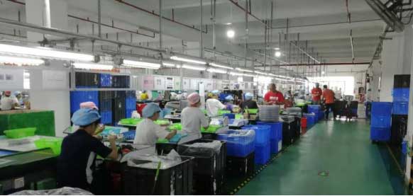 Quality Control - KHOI NGUYEN IMPORT EXPORT | KNT GROUP